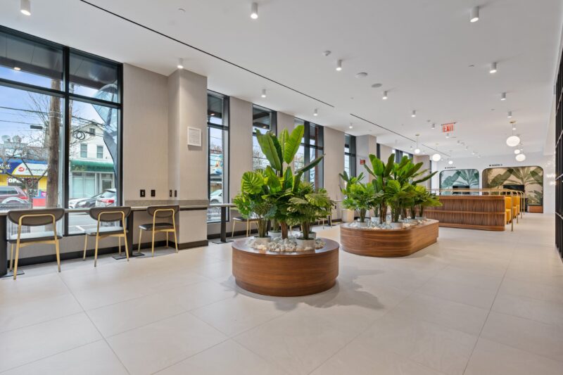 Rayhil — Revolve Surface Mount