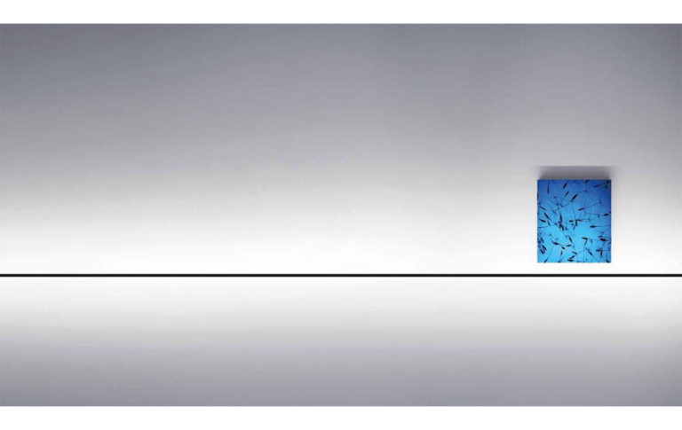 Rayhil — Strike Series