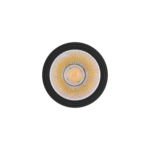 Rayhil — Revolve Surface Mount