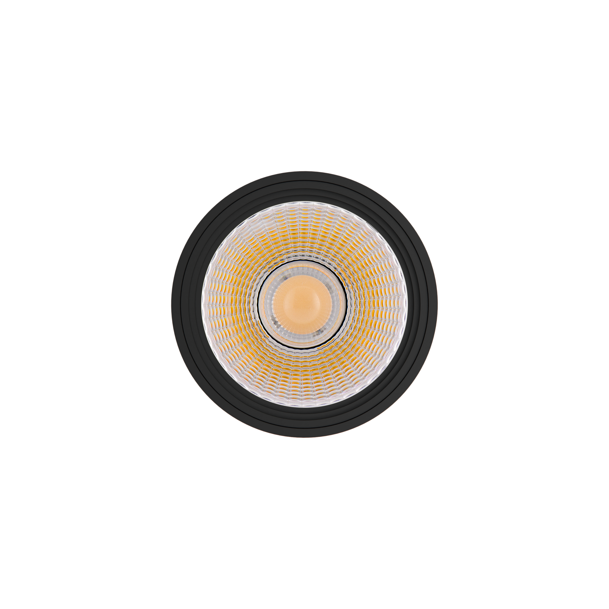 Rayhil — Revolve Surface Mount