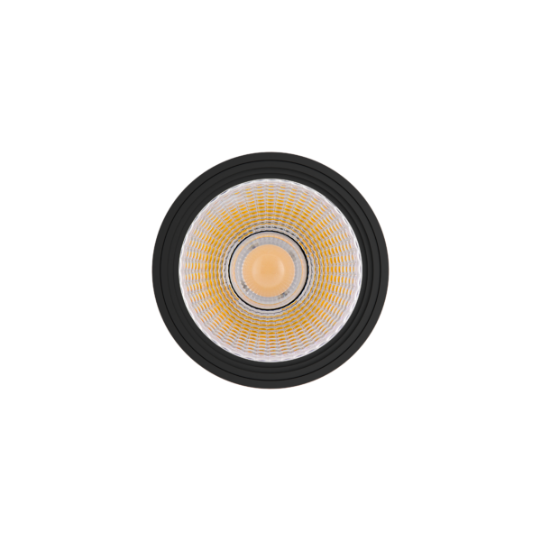 Rayhil — Revolve Surface Mount