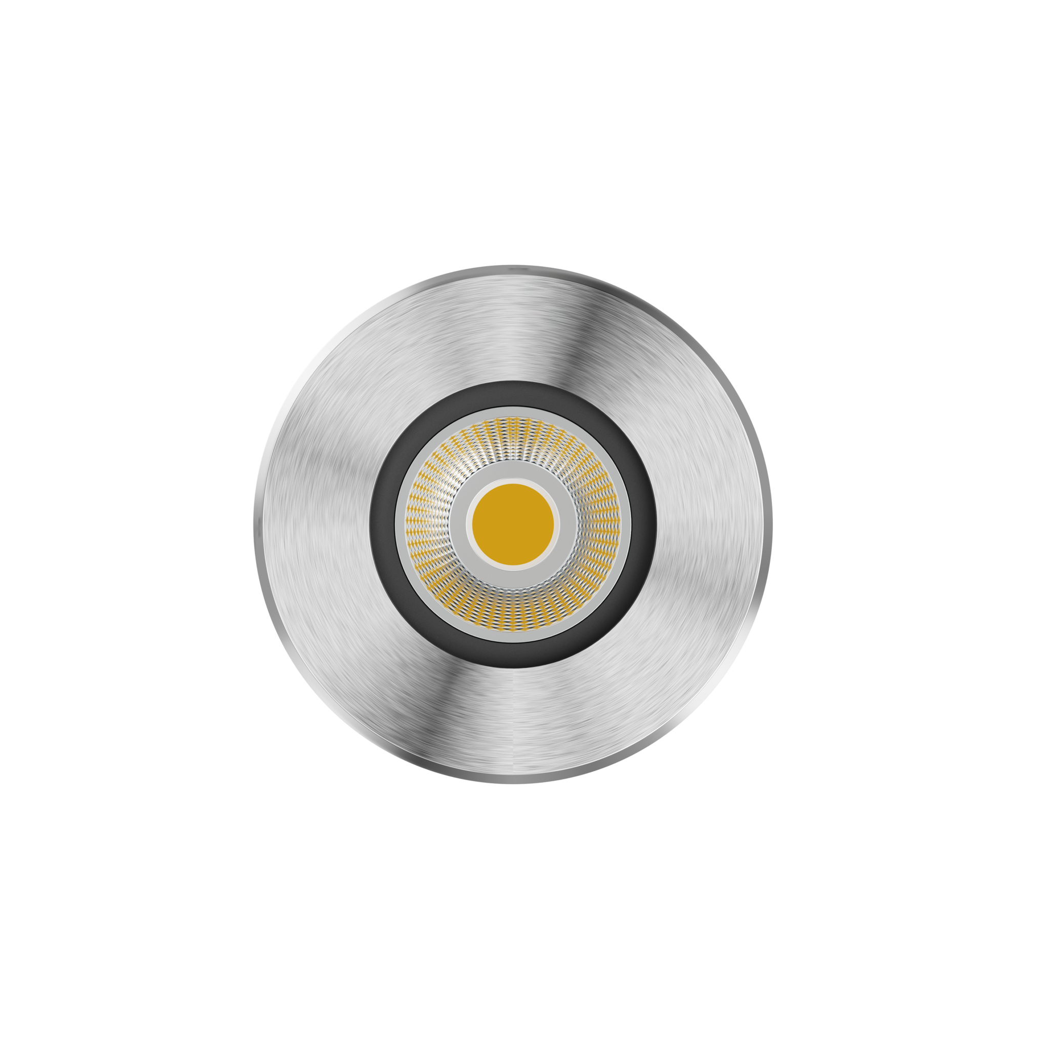 Rayhil — Flora In-Ground