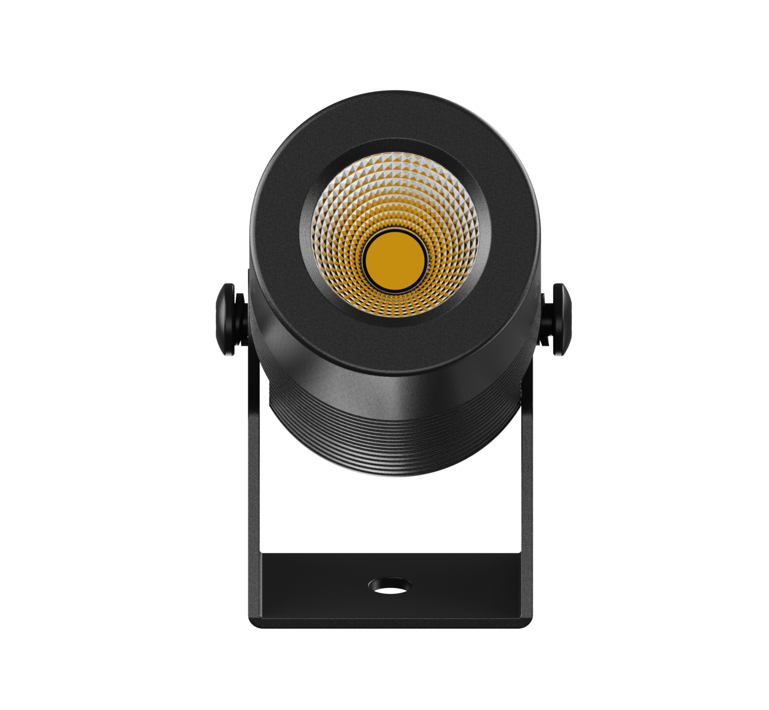 Rayhil — Flora Directional Landscape