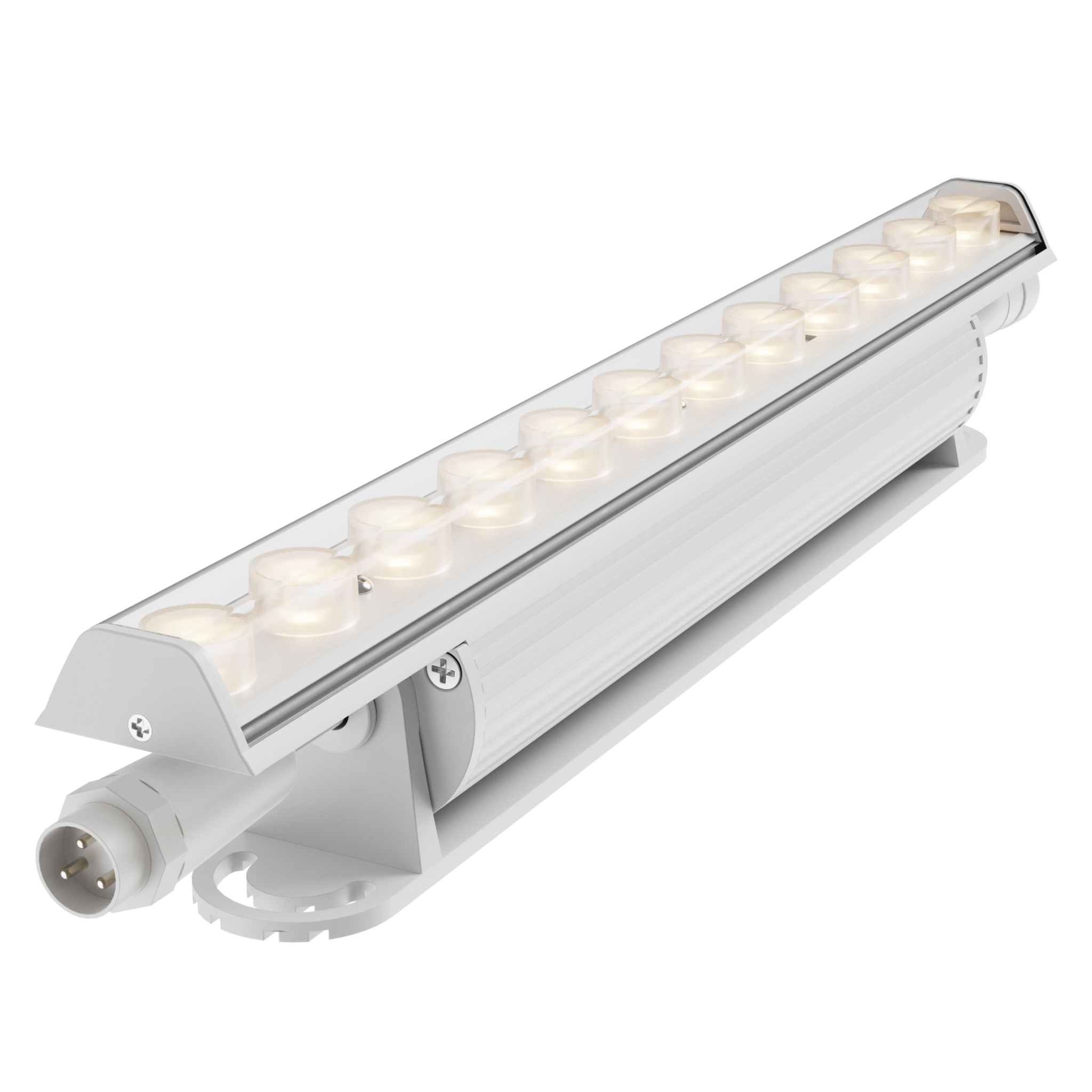 Rayhil — Ledge Cove